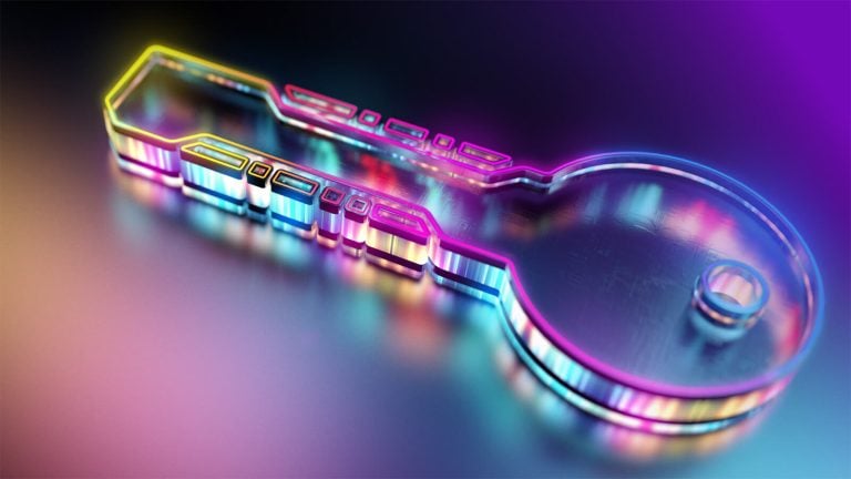 The Importance of Cryptographic Keys in Data Security